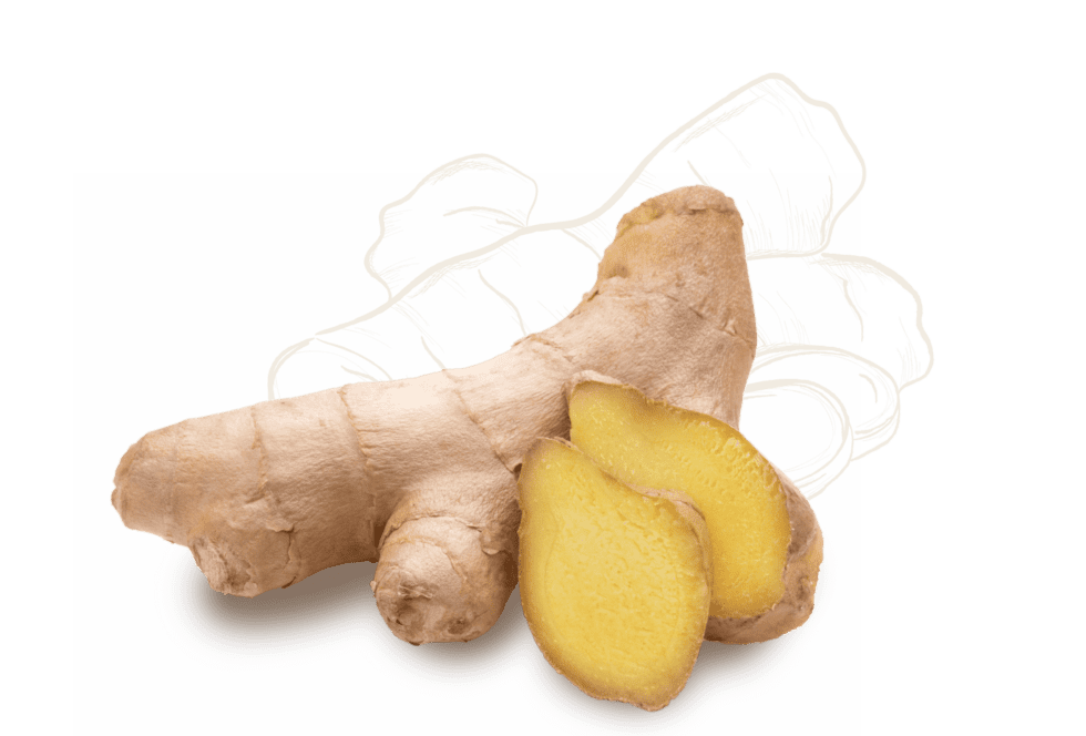 Founder | Golden Krust